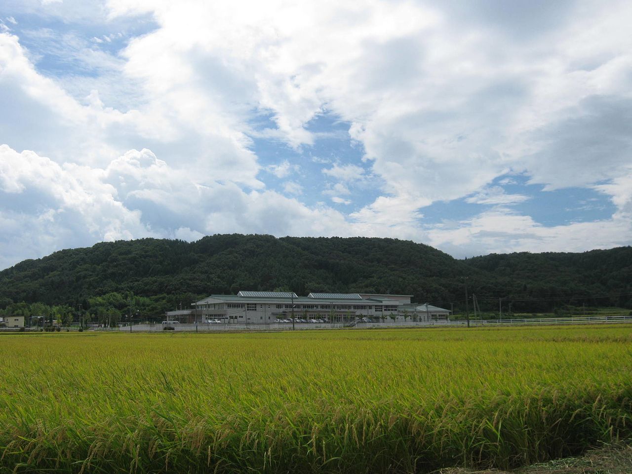 【Chuui誕生秘話2】14歳、初めての外国人 ～アメリカから英語の先生がやってきた～ – Chuui（チューイ）